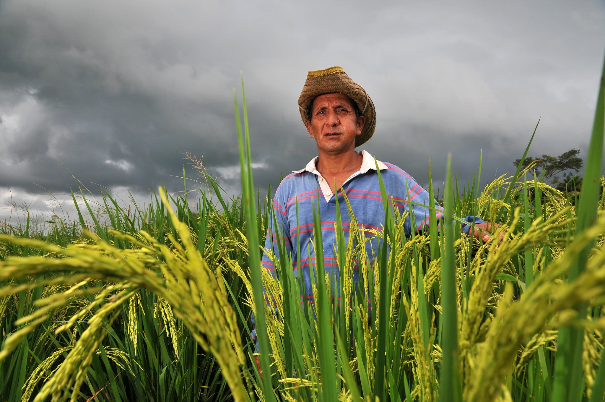 Le duo inflation et mondialisation pourrait causer des famines – Pivot